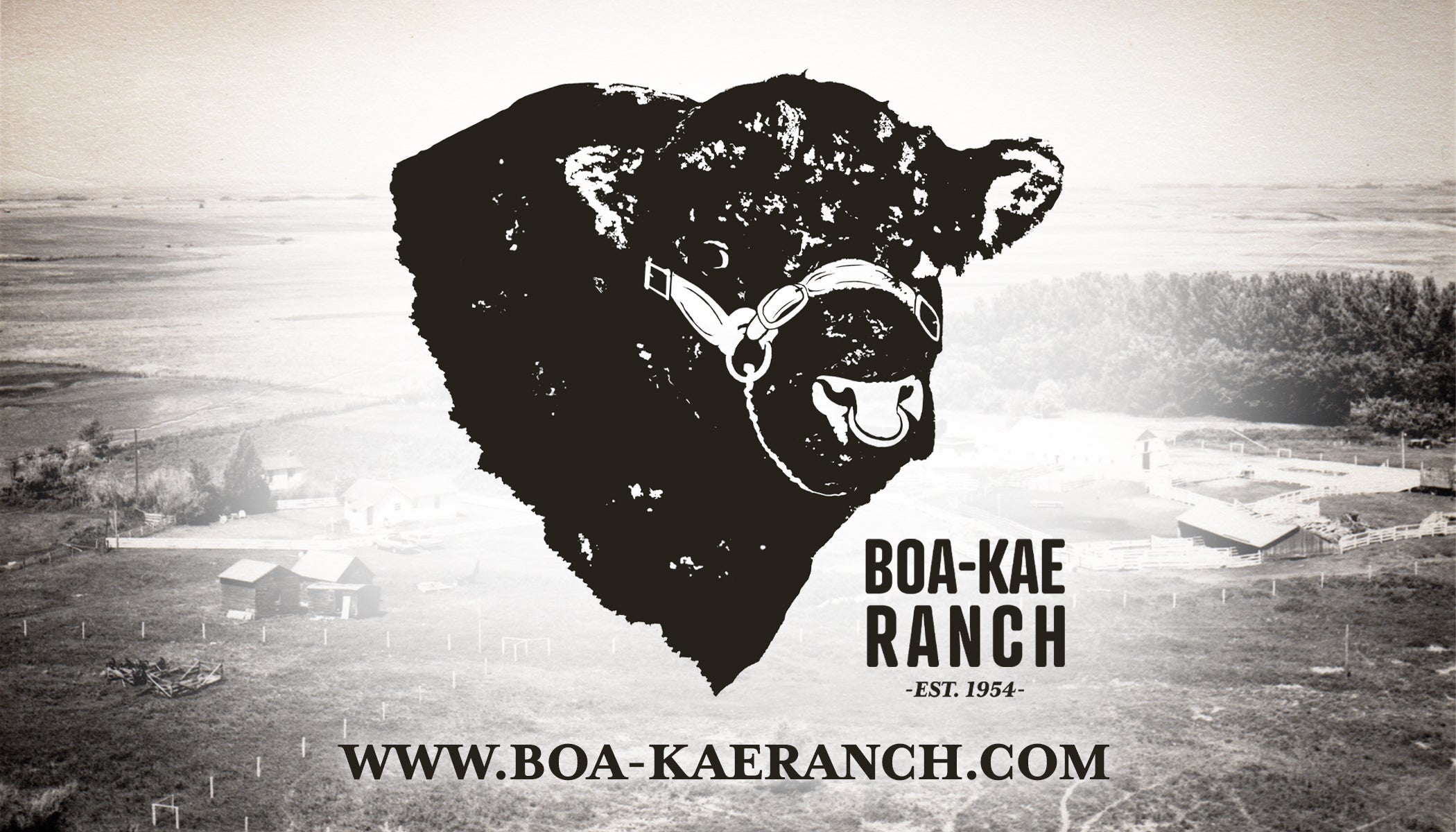 Boa-Kae Ranch Gift Card